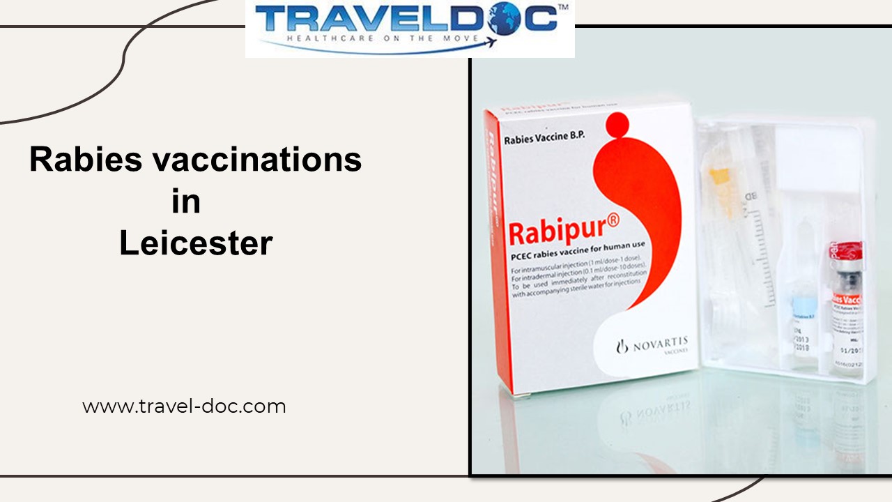 PPT – Rabies vaccinations in Leicester PowerPoint presentation | free ...