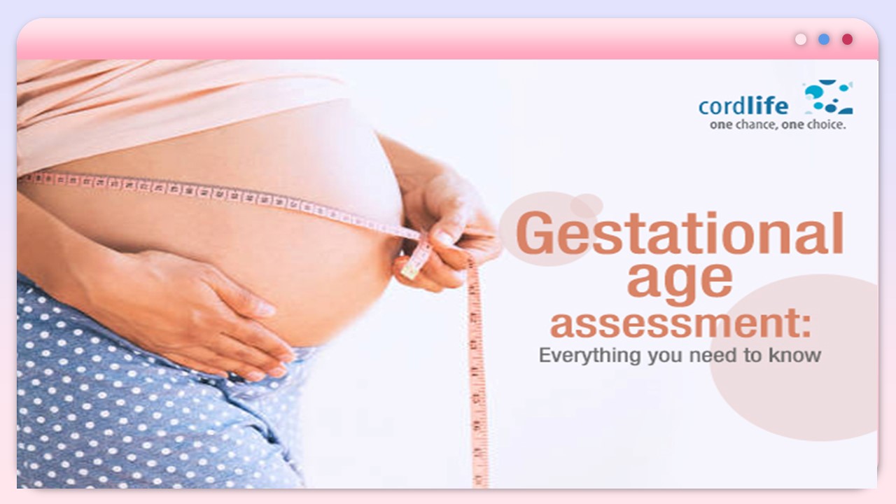 Gestational Age Assessment: Everything You Need To Know presentation ...