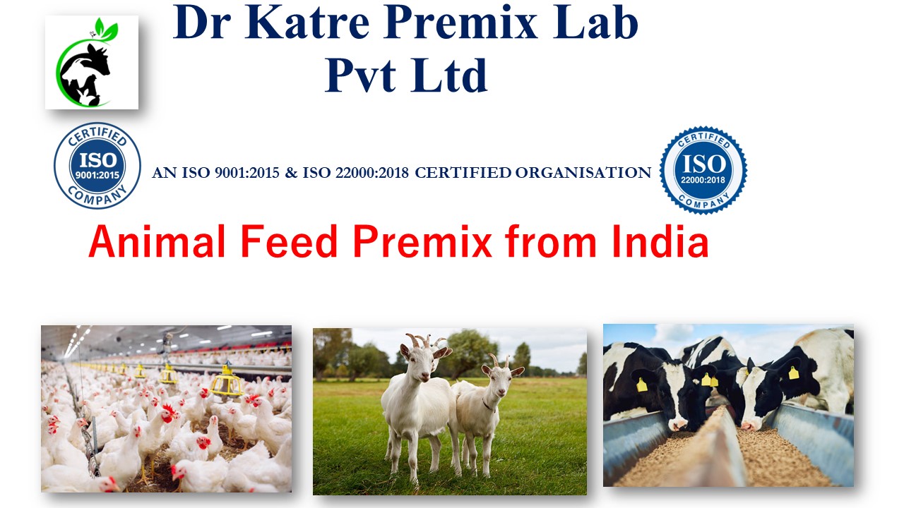PPT – Animal Feed Premix from India PowerPoint presentation | free to ...