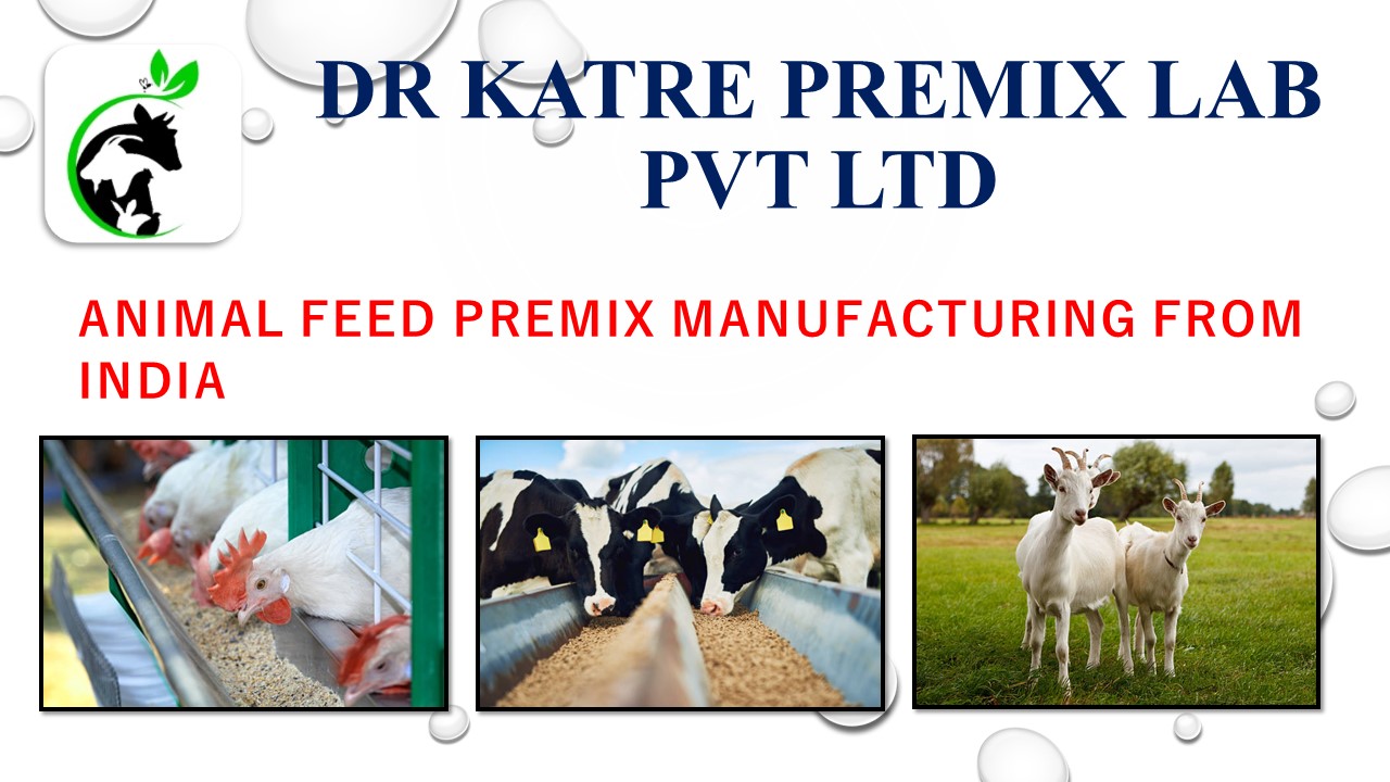 Animal feed Premix Manufacturing from India presentation | free to download