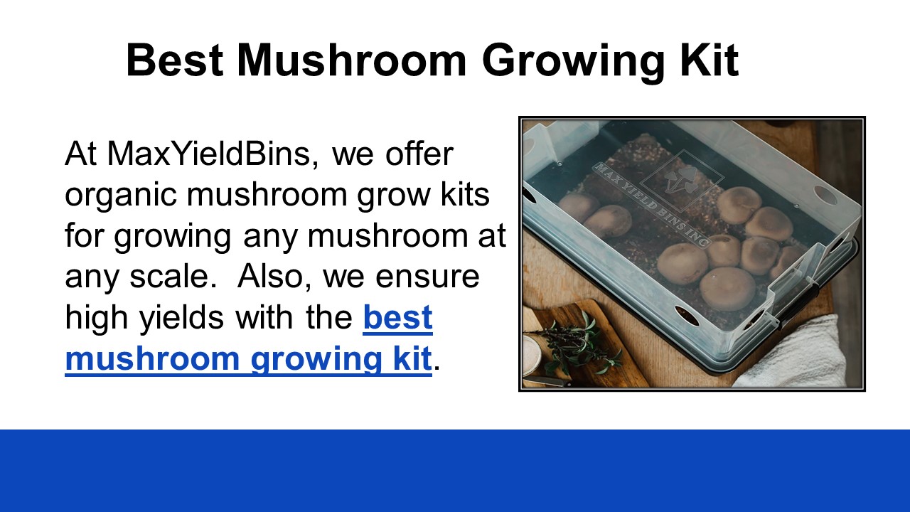 PPT – Best Mushroom Growing Kit PowerPoint presentation | free to ...