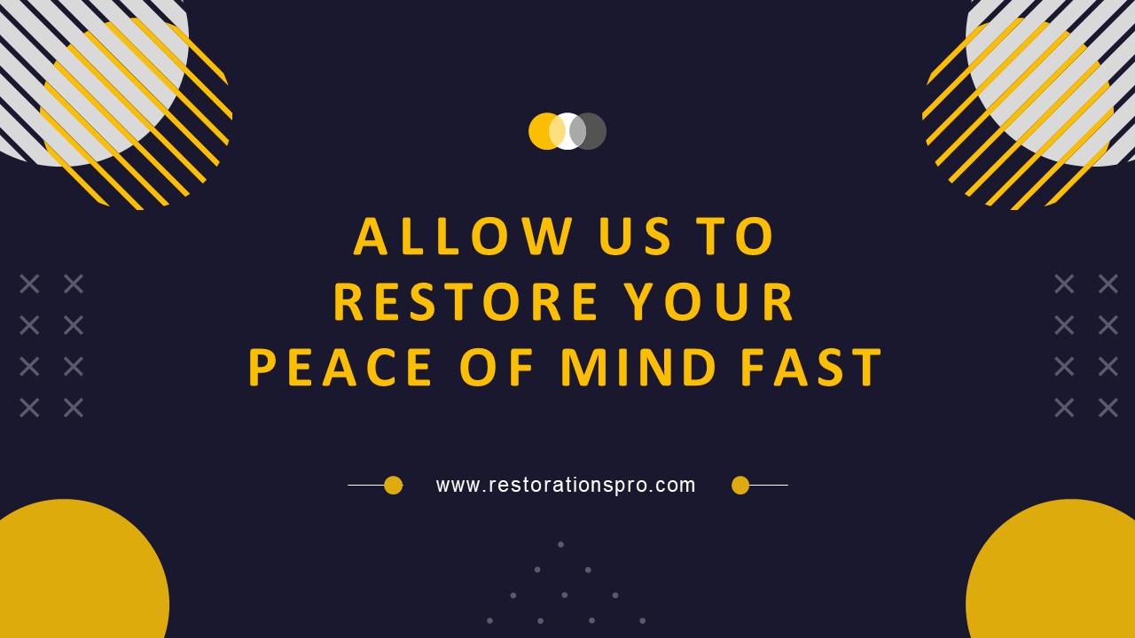 PPT – Mold Remediation, Fire And Water Damage Restoration in ...