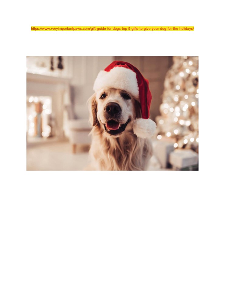 https://www.veryimportantpaws.com/gift-guide-for-dogs-top-9-gifts-to ...