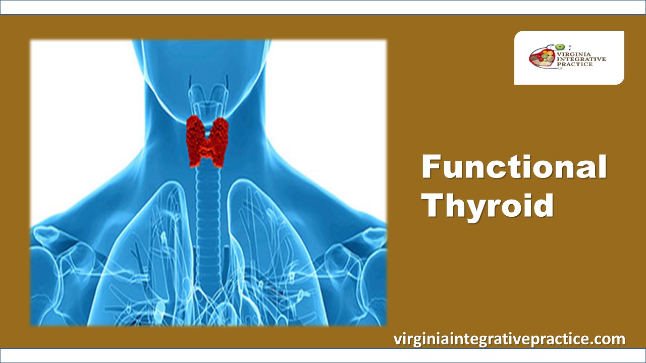 Functional Thyroid presentation | free to download