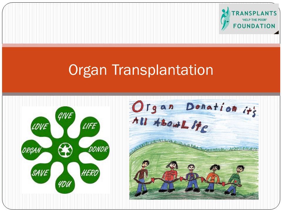PPT – transplant Organization - Transplant India PowerPoint ...