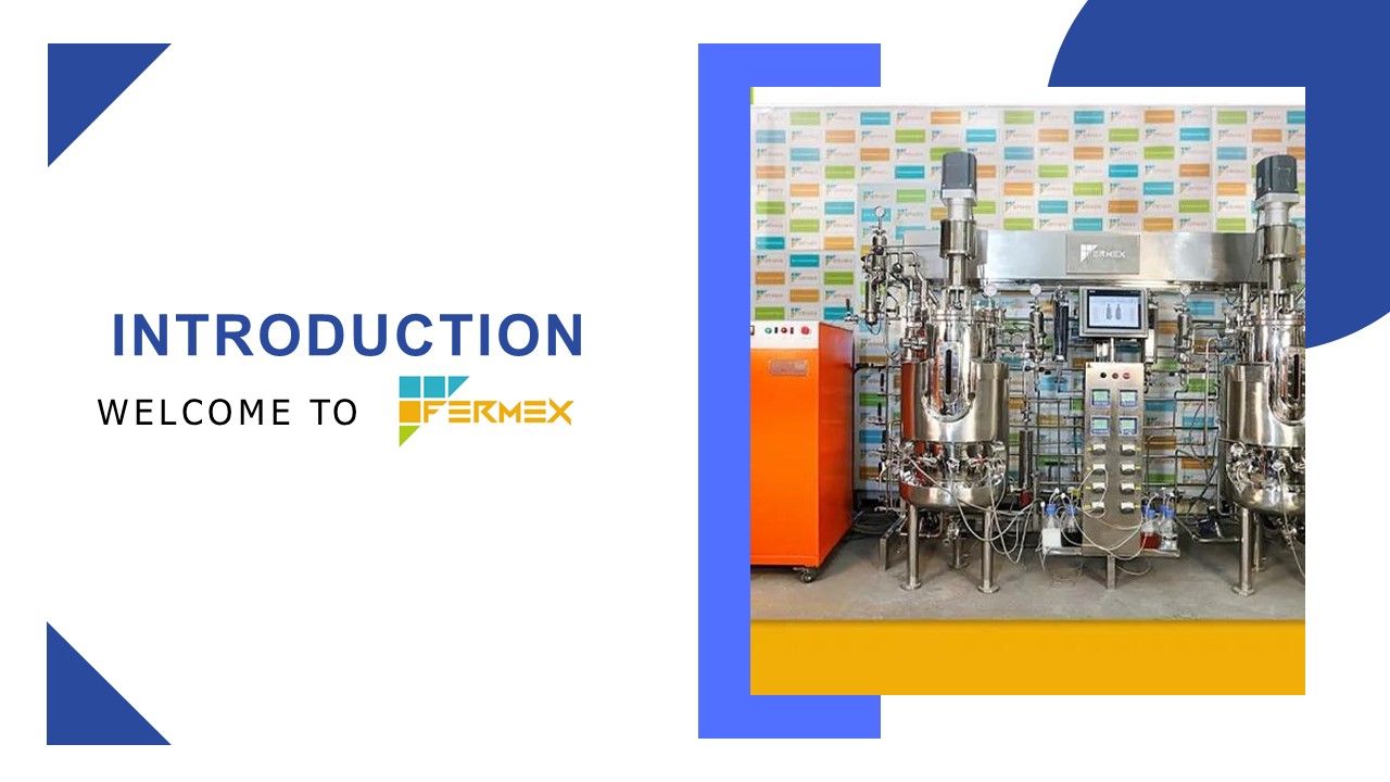 The Introduction of Fermex product presentation | free to download