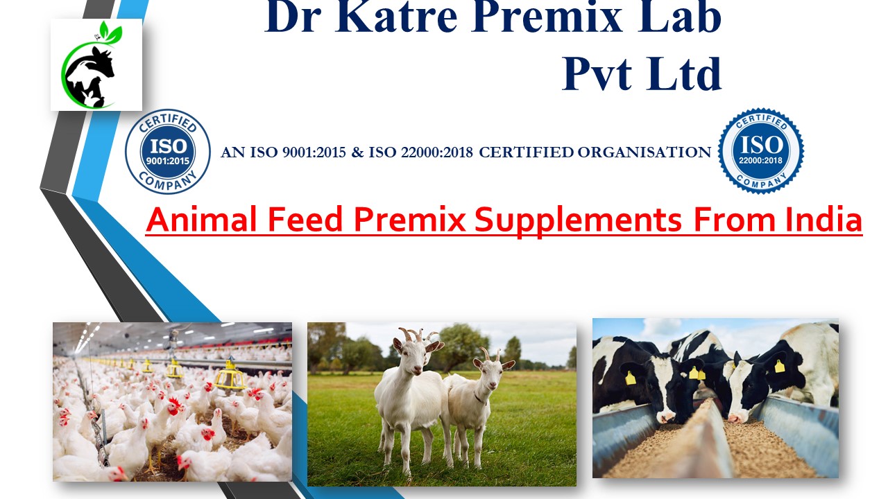 Animal feed Premix Supplements from India presentation | free to download