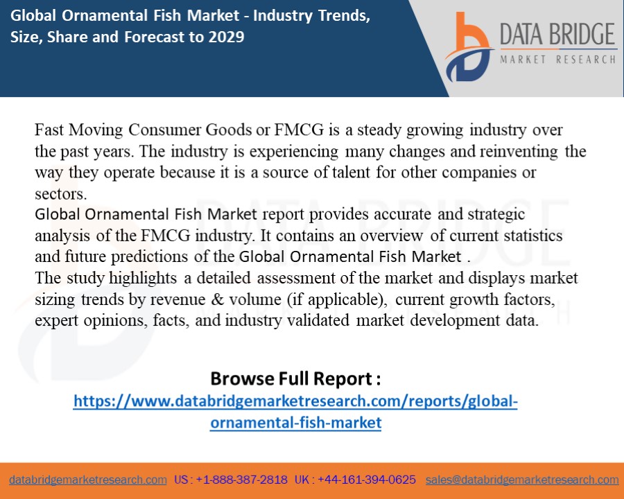 PPT – Ornamental Fish Market Scope and Market Size PowerPoint ...