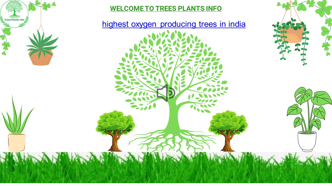 12 oxygen trees name presentation | free to download