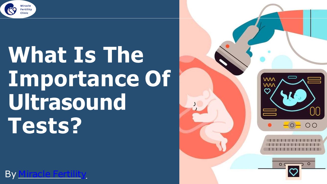 What Is The Importance Of Ultrasound Tests? presentation | free to download