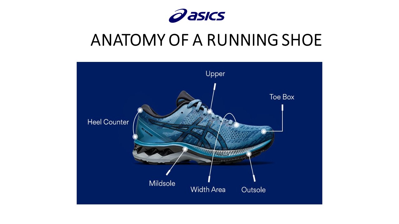 PPT – Anatomy Of A Running Shoe - A Complete Guide | Asics India ...