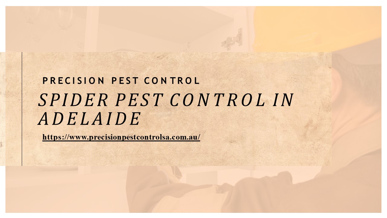 PPT – Termite Inspection Adelaide PowerPoint presentation | free to ...