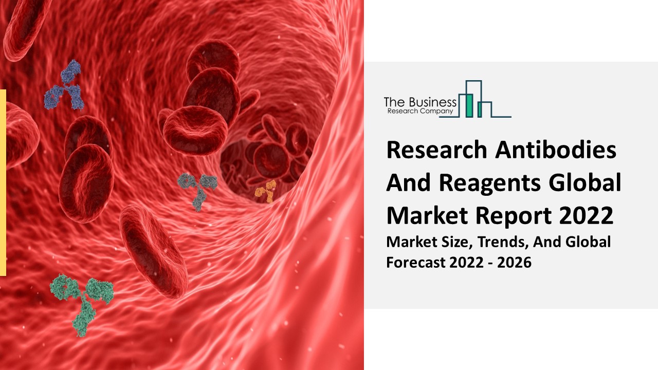 Research Antibodies and Reagents Market Outlook, Business Opportunities ...