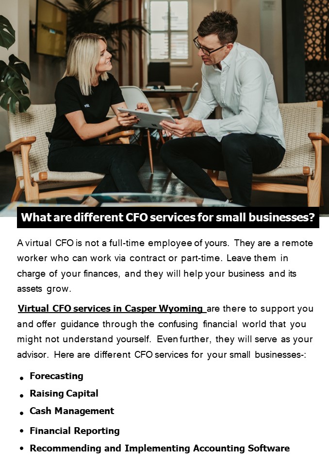 PPT – What are different CFO services for small businesses? PowerPoint ...