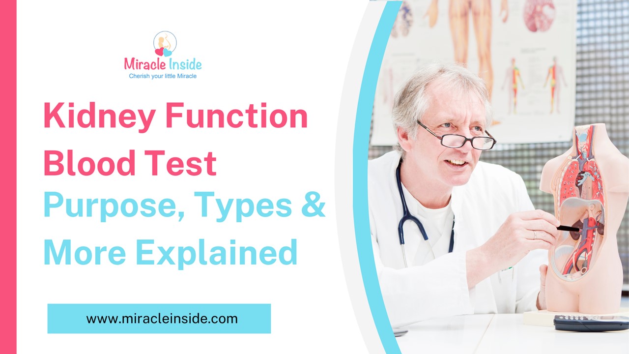 Kidney Function Blood Test – Purpose, Types & More Explained ...