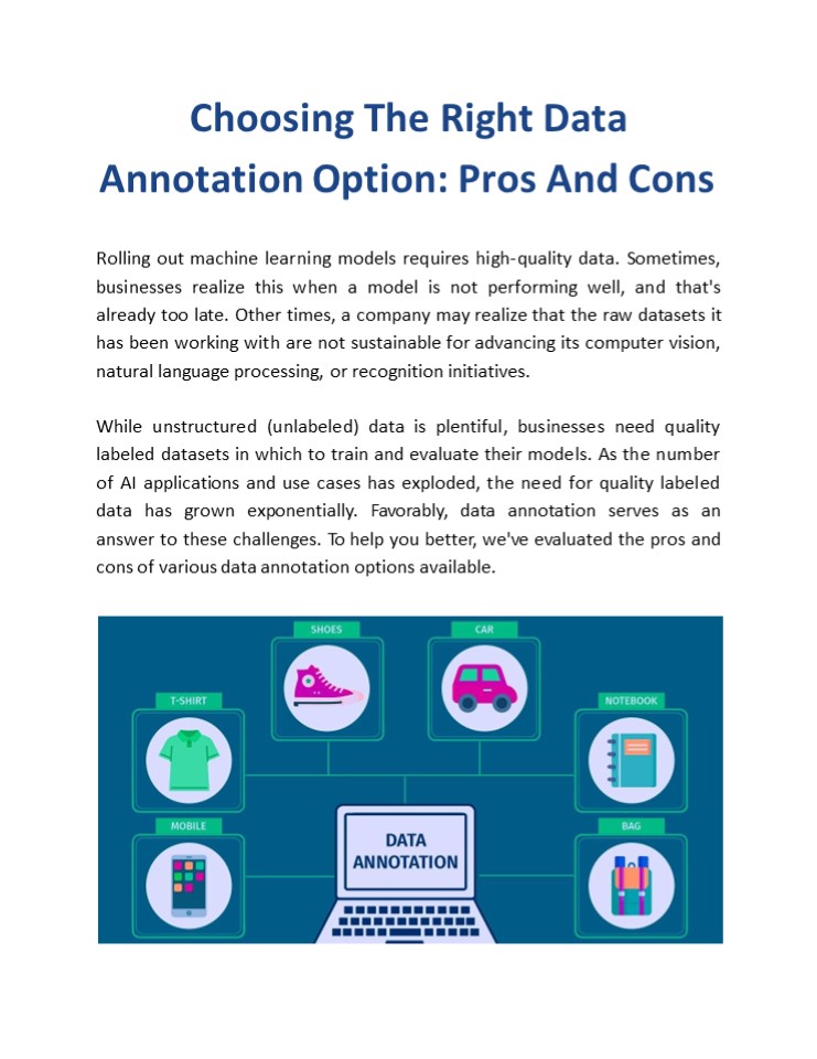 PPT – Choosing The Right Data Annotation Option: Pros And Cons ...
