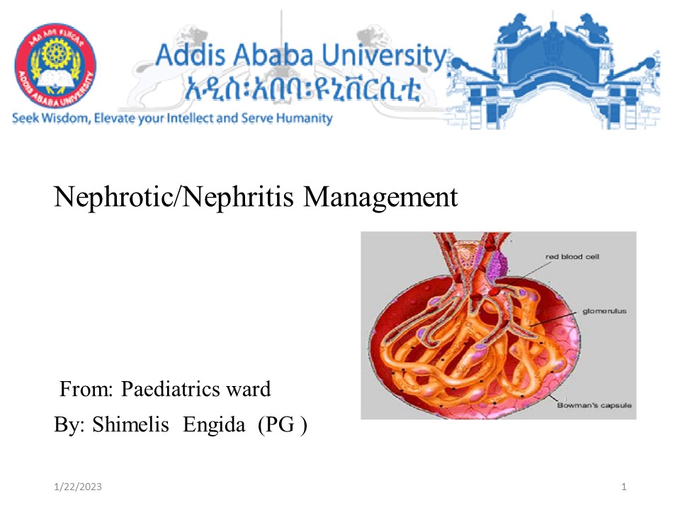 PPT – ns seminar PowerPoint presentation | free to download - id ...