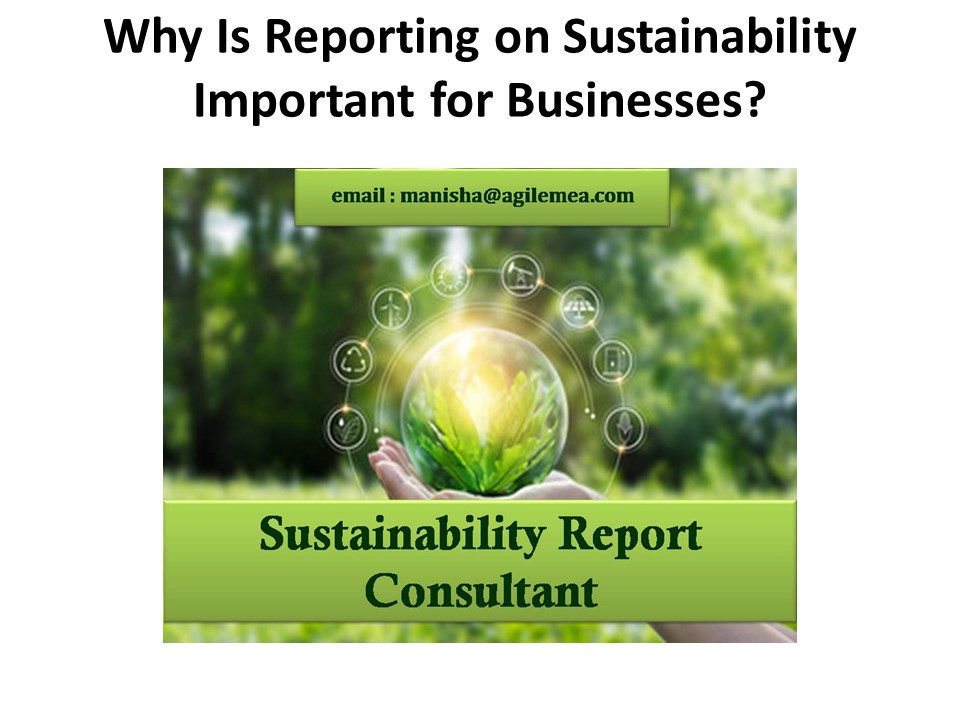 Why Is Reporting on Sustainability Important for Businesses ...
