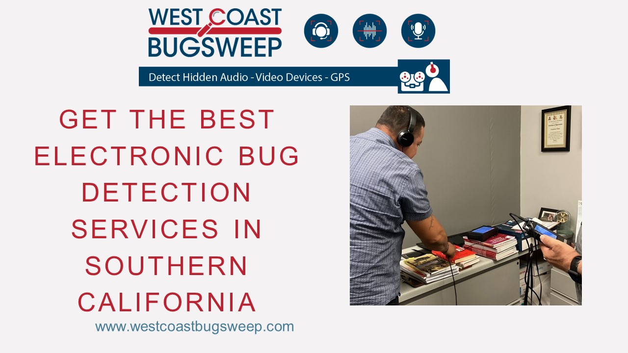 PPT – Get the Professional Bug Detection Services in Southern ...