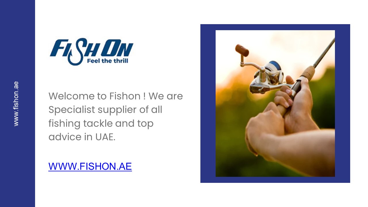 Fishon presentation | free to download