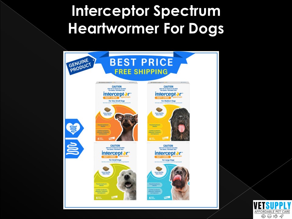 PPT – Interceptor Spectrum Heartwormer For Dogs | Dog Supplies ...