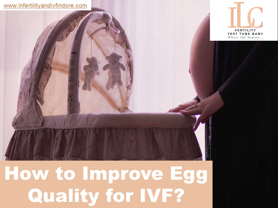 How to Improve Egg Quality for IVF? presentation | free to download