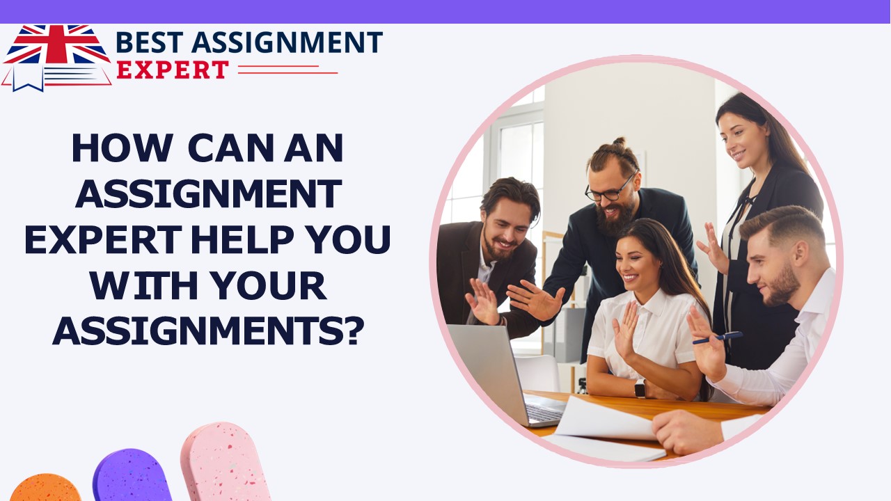 How Can an Assignment Expert Help You with Your Assignments ...