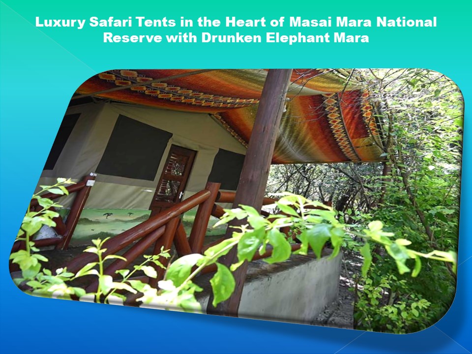 Luxury Safari Tents in the Heart of Masai Mara National Reserve with ...