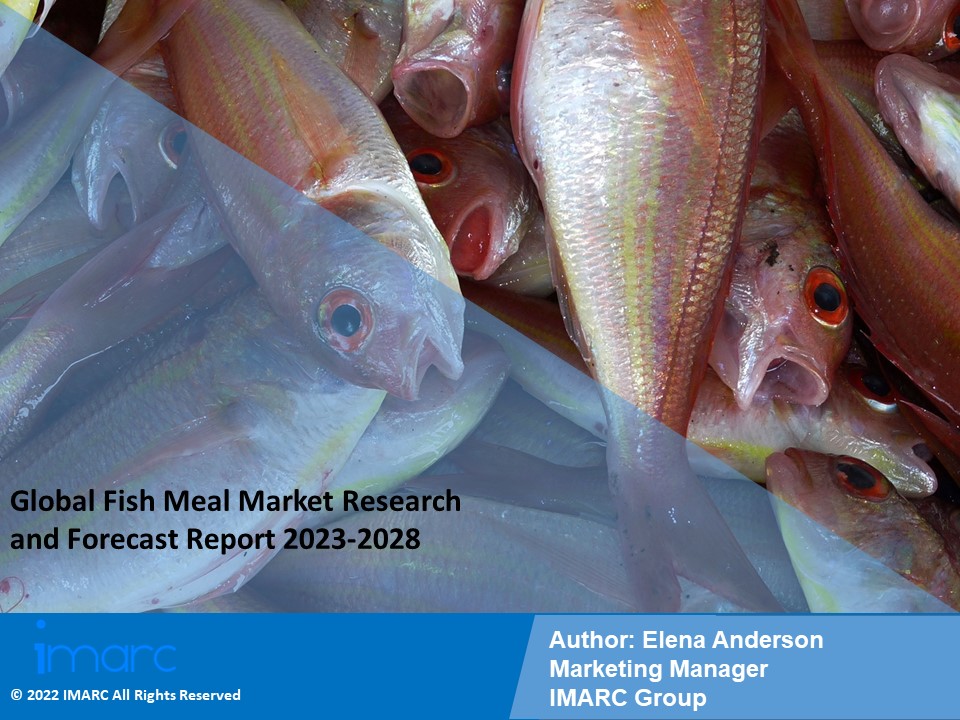 Fish Meal Market Trends and Dynamics, Drivers, Competitive landscape ...