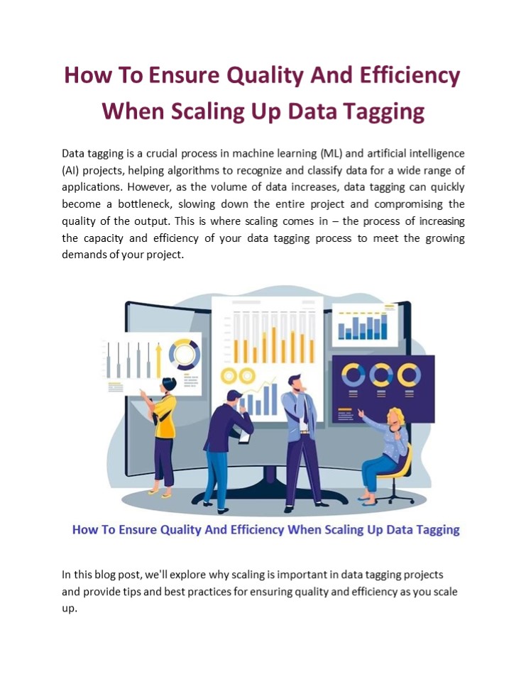 PPT – How To Ensure Quality And Efficiency When Scaling Up Data Tagging PowerPoint presentation ...