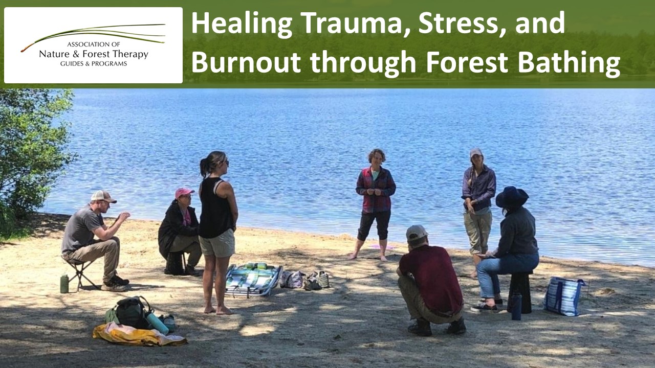 Nature's Therapy: Healing Trauma, Stress, and Burnout through Forest ...