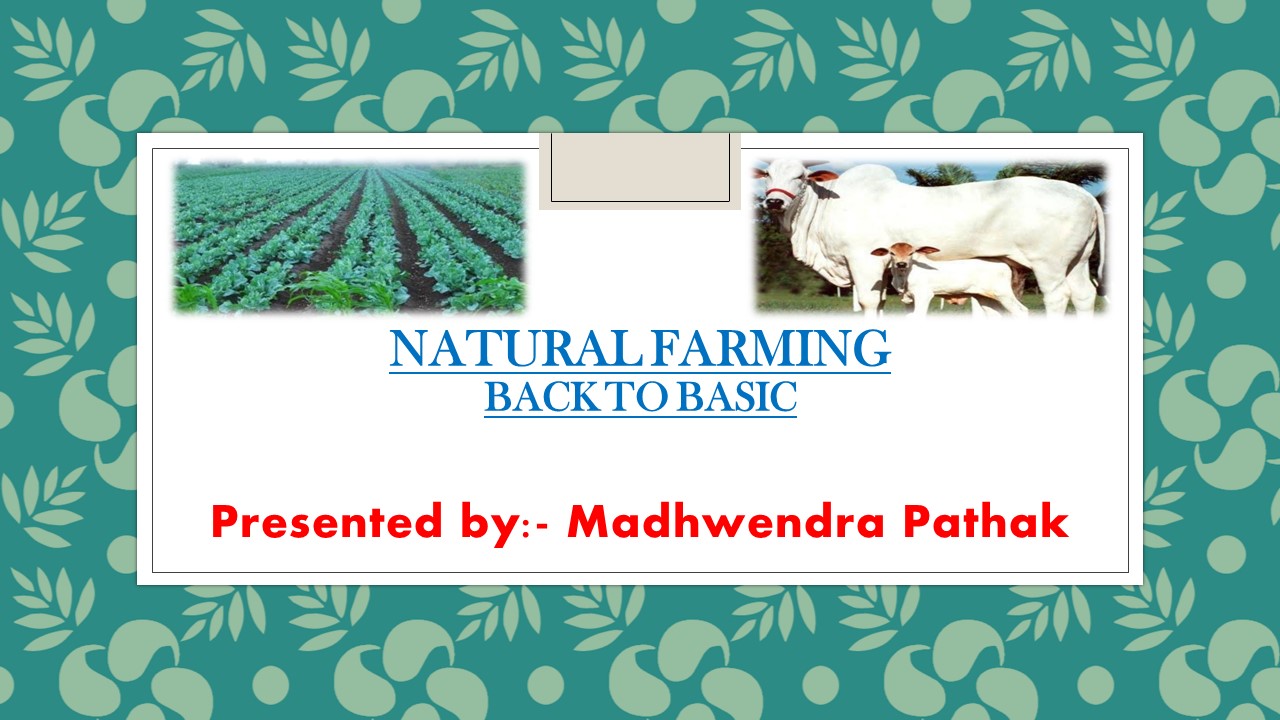 Natural farming presentation | free to download