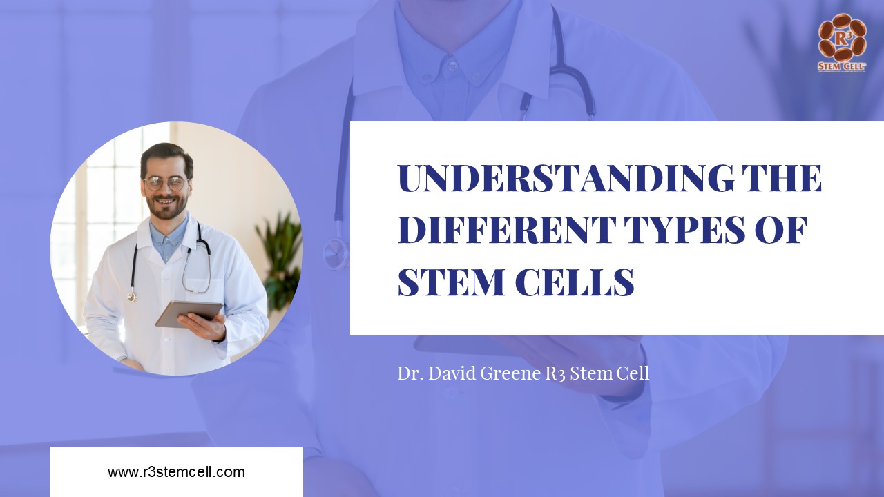 PPT – Dr David Greene R3 Stem Cell | Understanding the Different Types of Stem Cells PowerPoint ...
