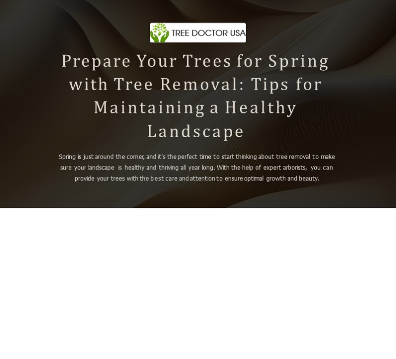 Prepare Your Trees for Spring with Tree Removal: Tips for Maintaining a Healthy Landscape ...