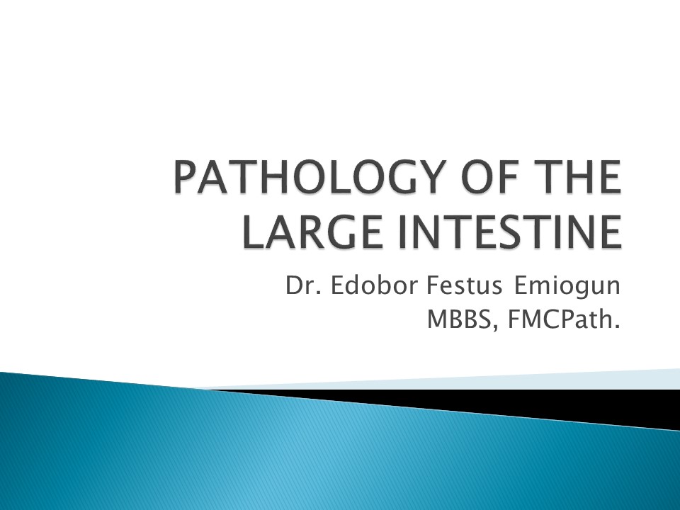 Pathology Of Large Intestine presentation | free to download