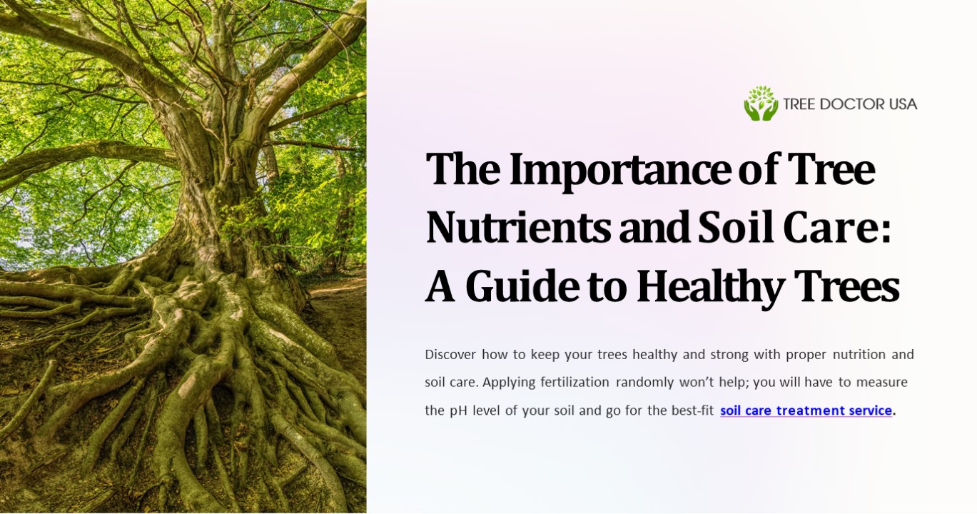 The Importance of Tree Nutrients and Soil Care A Guide to Healthy Trees ...