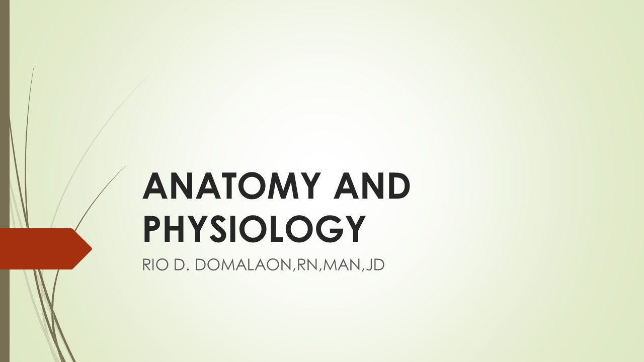 Human Overview presentation | free to download