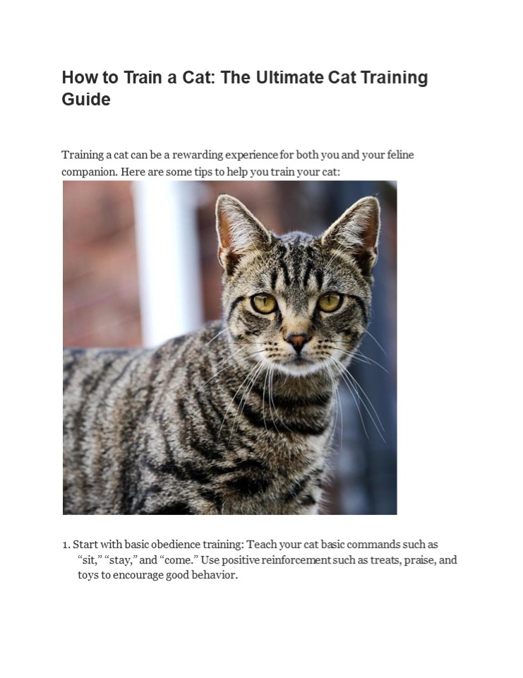 How to Train a Cat: The Ultimate Cat Training Guide presentation | free ...