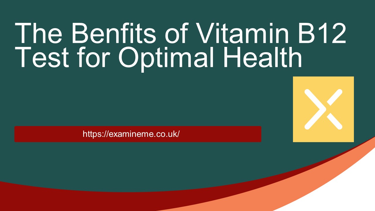 PPT – The Benfits of Vitamin B12 Test for Optimal Health PowerPoint ...