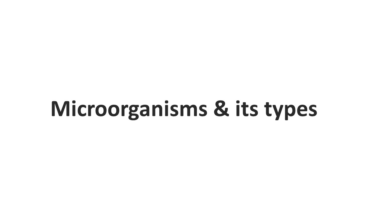 Microorganisms & its types presentation | free to download