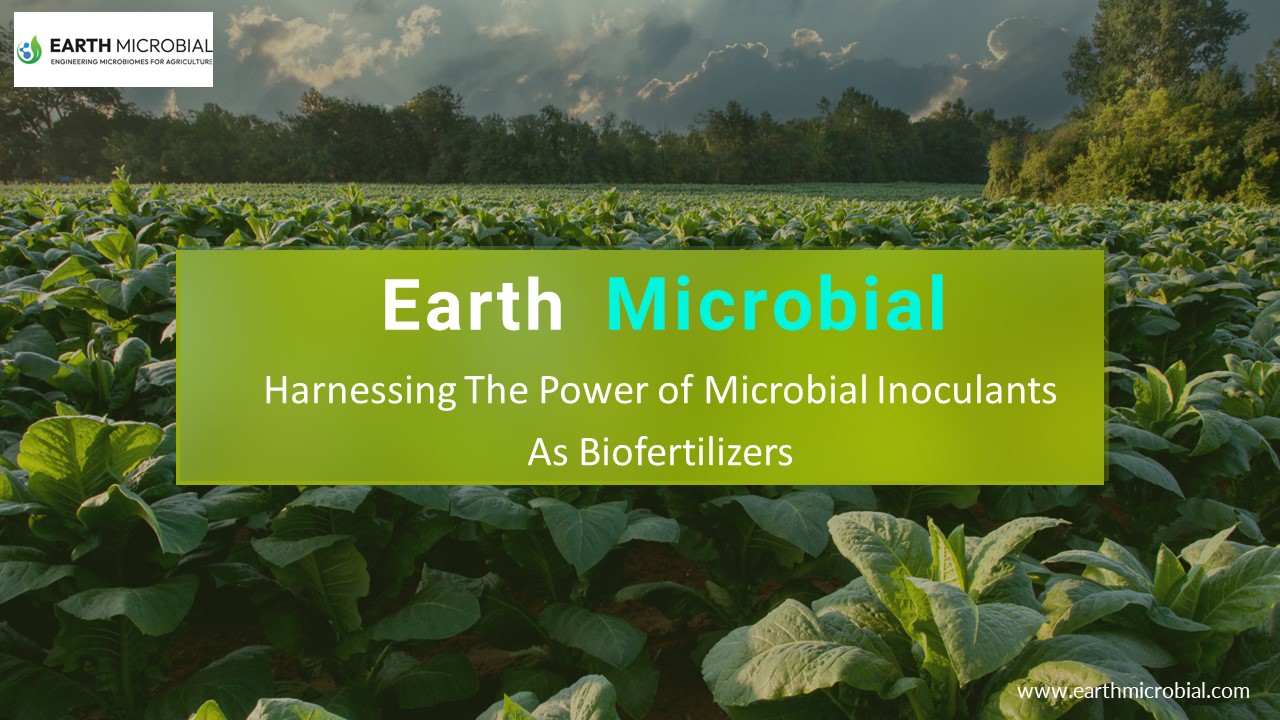 PPT – Harnessing the Power of Microbial Inoculants as Biofertilizers ...