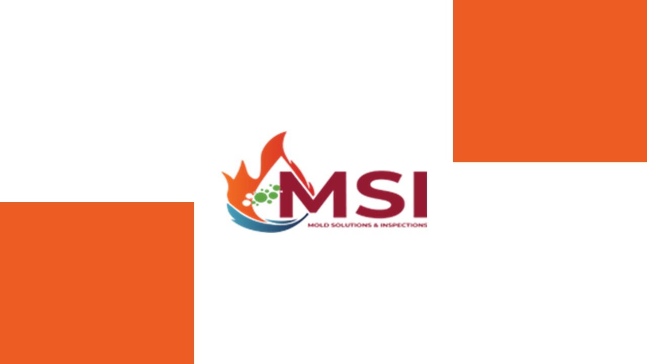 Water Damage Restoration presentation | free to download