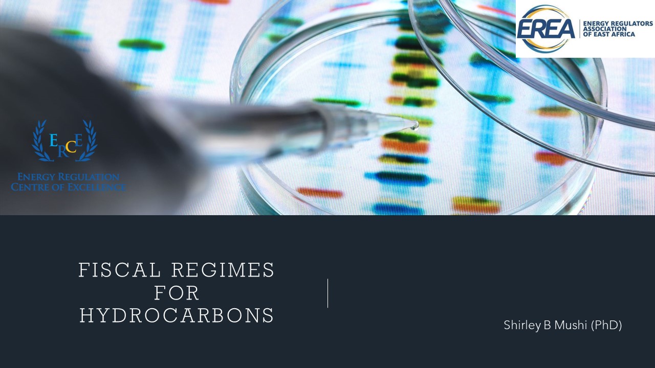 PPT – FISICAL REGIMES AND PSAs PowerPoint presentation | free to ...