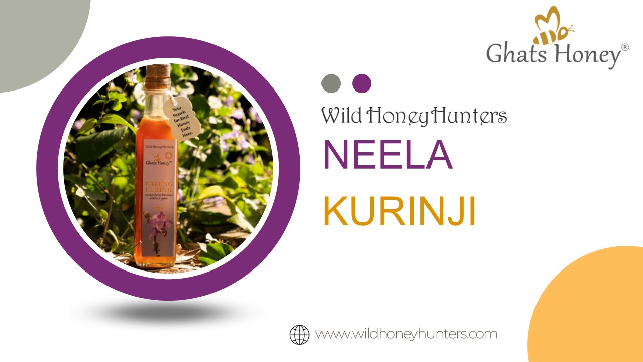 The Nee la kurinji flowers and The Kurinji honey from Wild honey ...