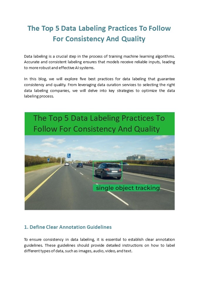 The Top 5 Data Labeling Practices To Follow For Consistency And Quality presentation | free to view