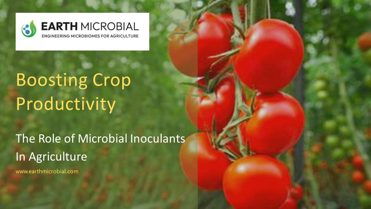 PPT – Boosting Crop Productivity - The Role of Microbial Inoculants In Agriculture PowerPoint ...