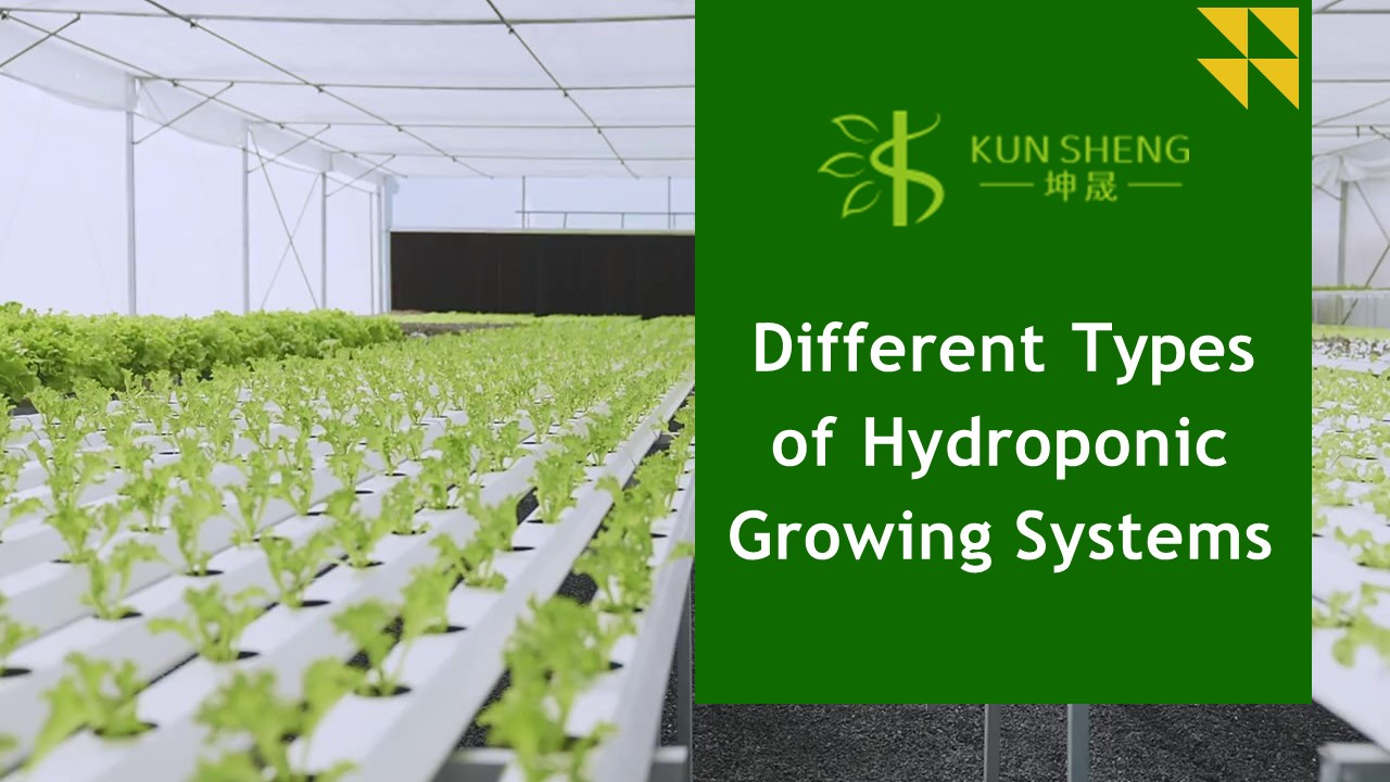 Different Types of Hydroponic Growing Systems Greenhouse presentation ...