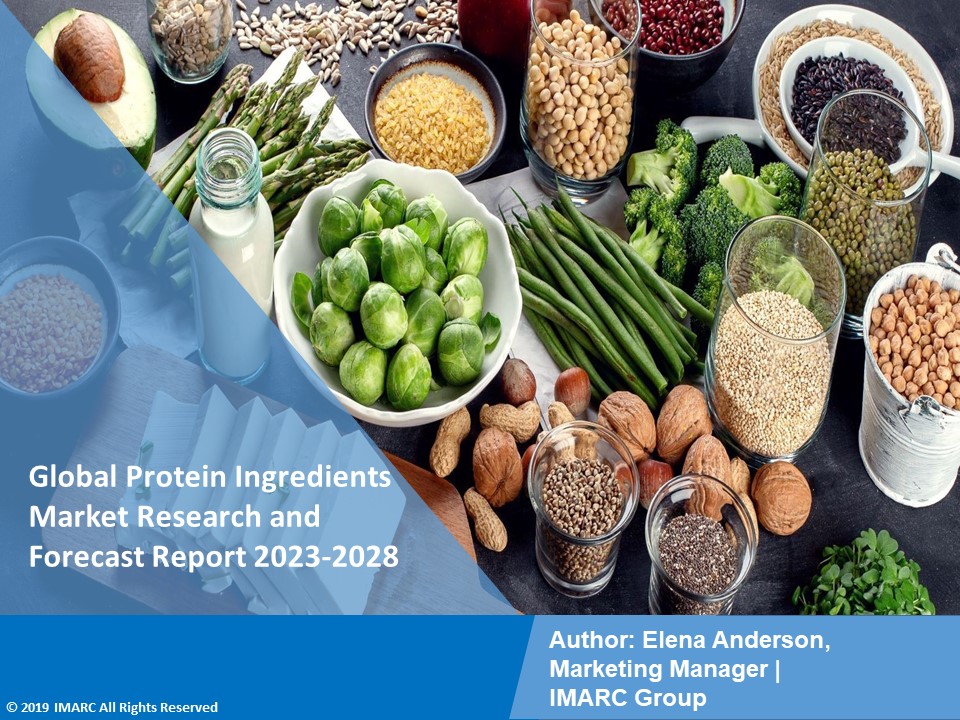 Protein Ingredients Market Growth, Demand and Challenges of the Key ...