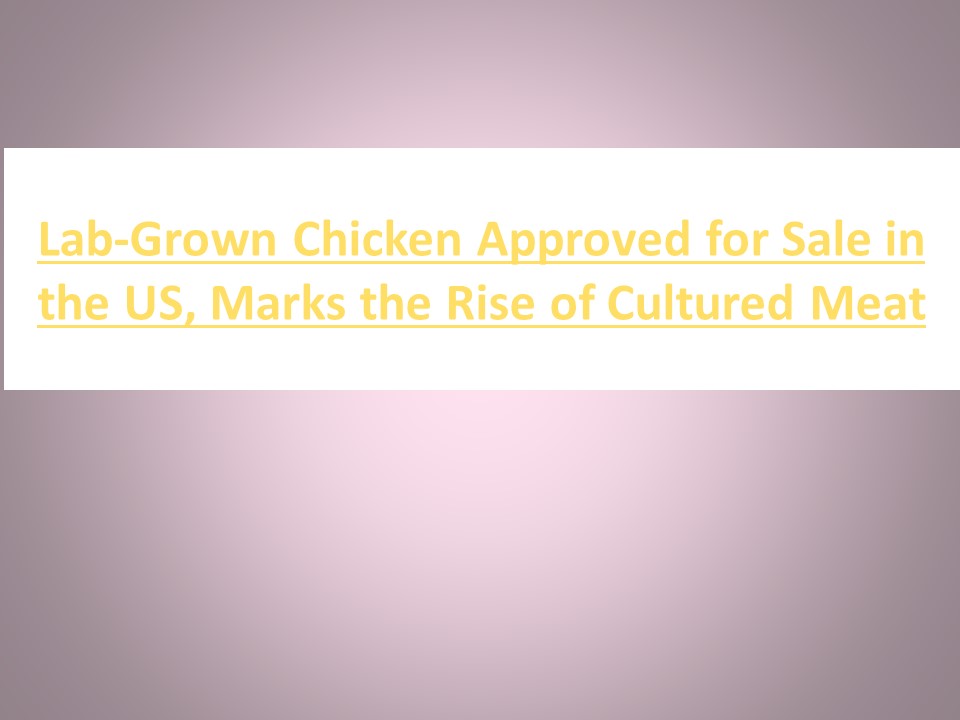 Lab-Grown Chicken Approved for Sale in the US, Marks the Rise of ...