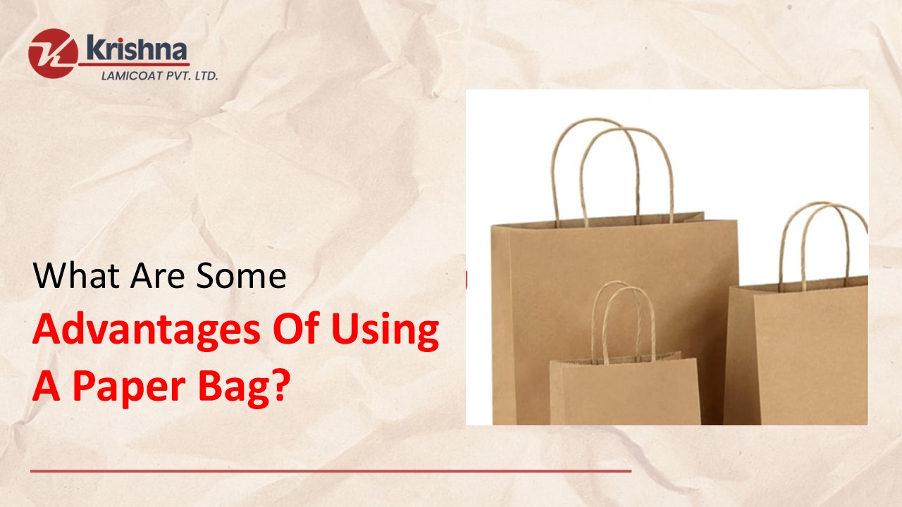 What Are Some Advantages Of Using A Paper Bag? presentation | free to ...